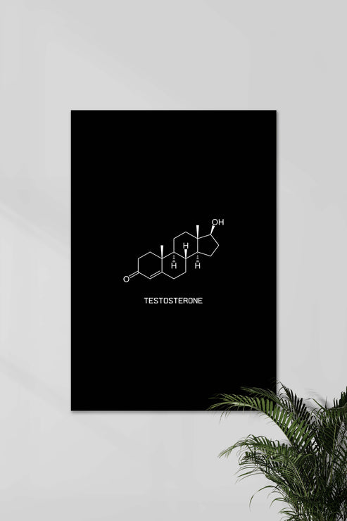 TESTOSTERONE | GYM | Motivational Poster | Posterized.in