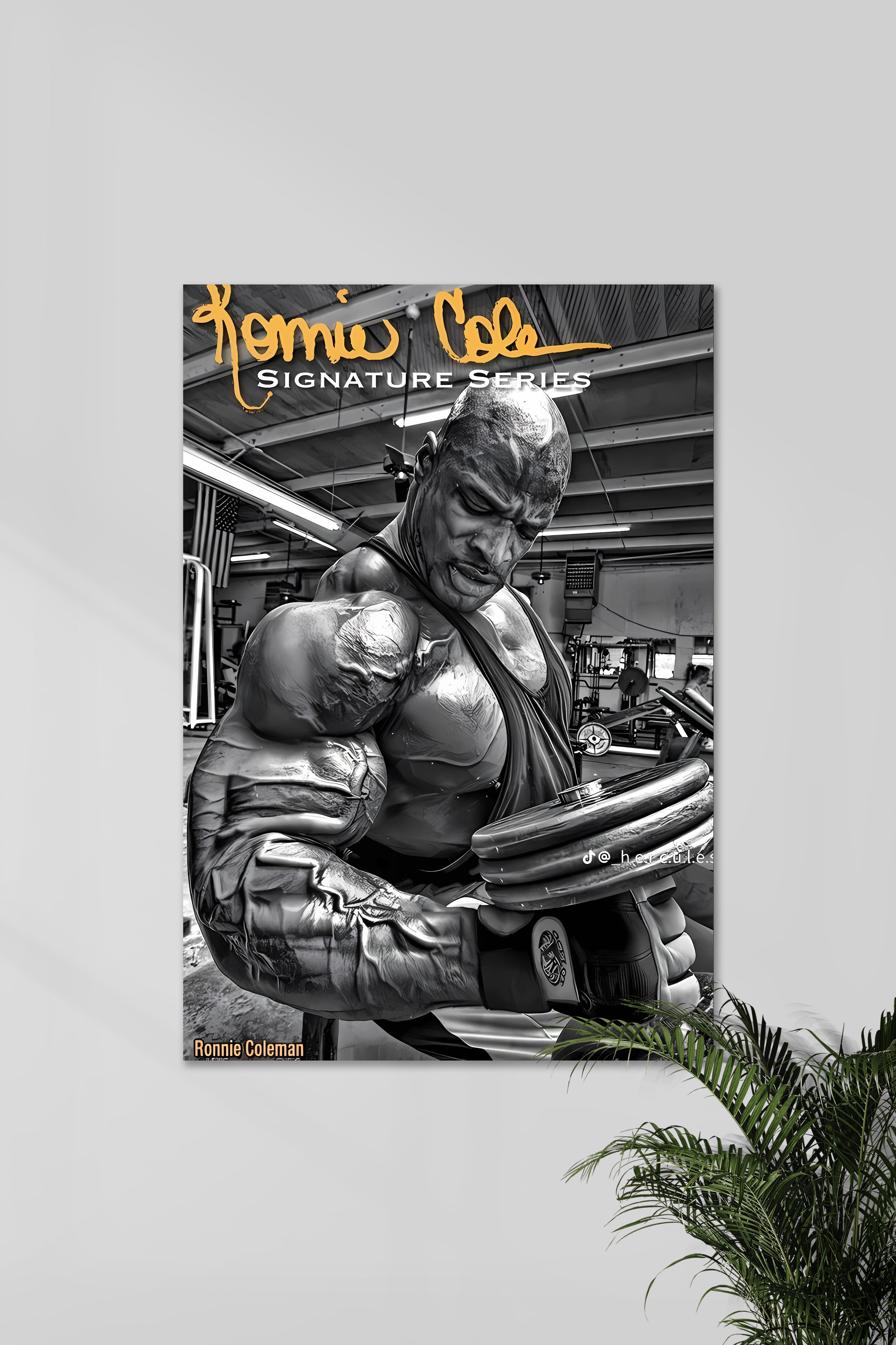 RONNIE COLEMAN | GYM SET | Motivational Poster – Posterized