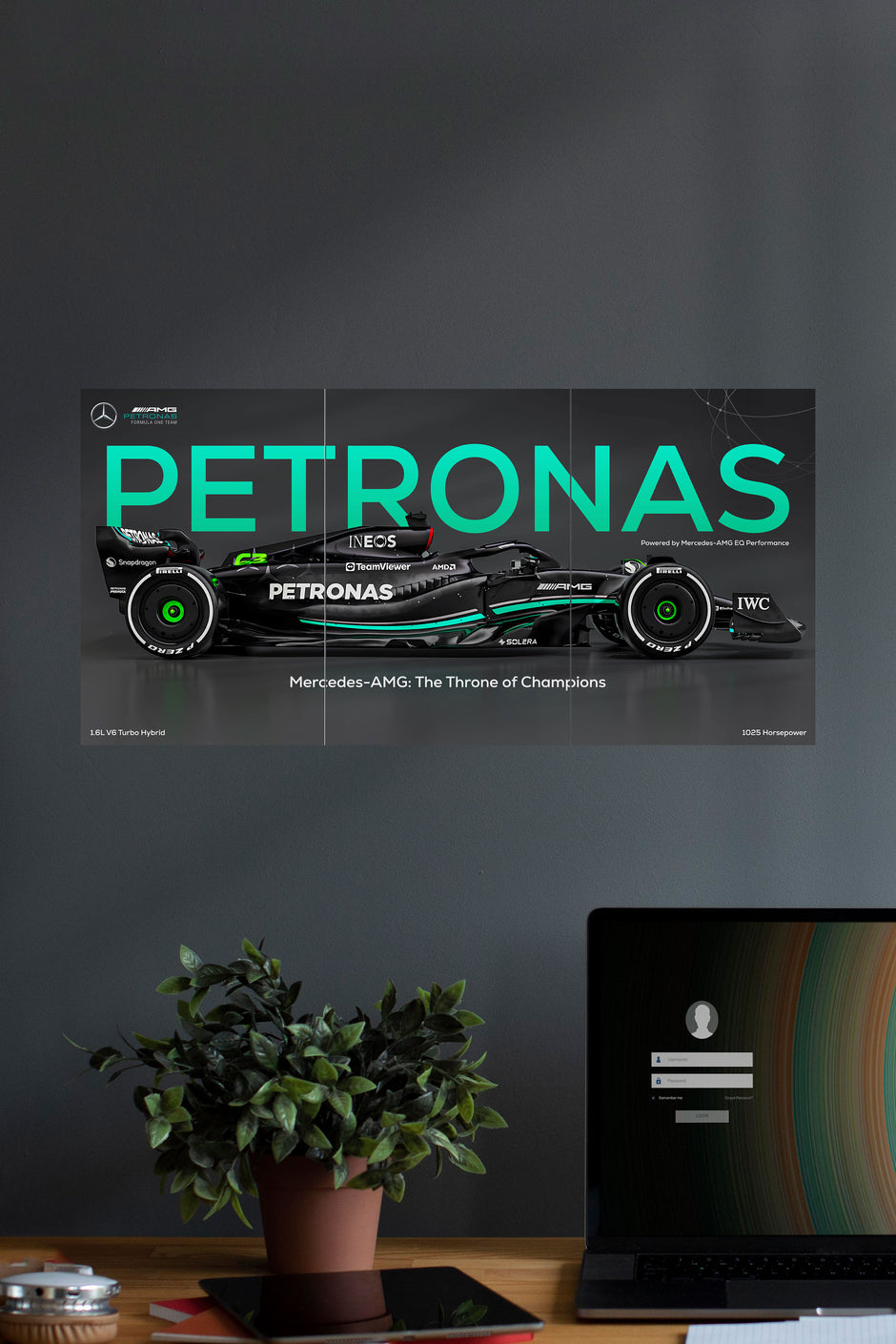 F1 Split Collections | Posterized.in